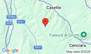 BOSCHI DEL MONTE TERMINILLO | I Luoghi del Cuore - FAI