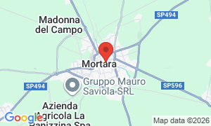 BASILICA DI SAN LORENZO | I Luoghi del Cuore - FAI